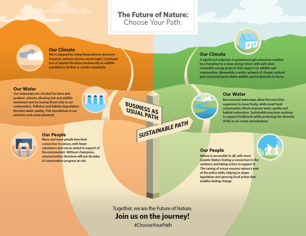 Ferland Design Illustration Two Paths